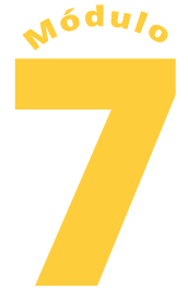 Módulo 7